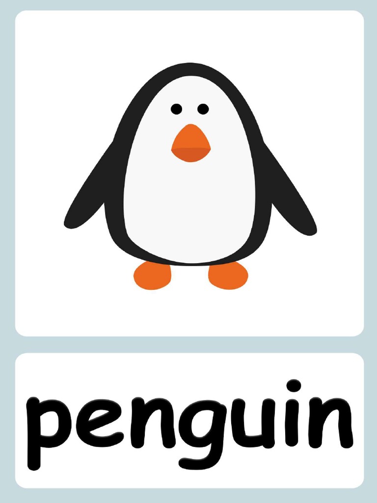 Penguin Flashcard For Kids | PDF
