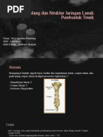 Anatomi Trunkus Manusia | PDF