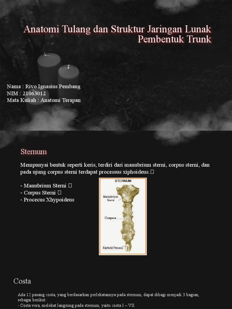 Anatomi Tulang Dan Struktur Jaringan Lunak Pembentuk Trunk | PDF | Kajian Bahasa Asing
