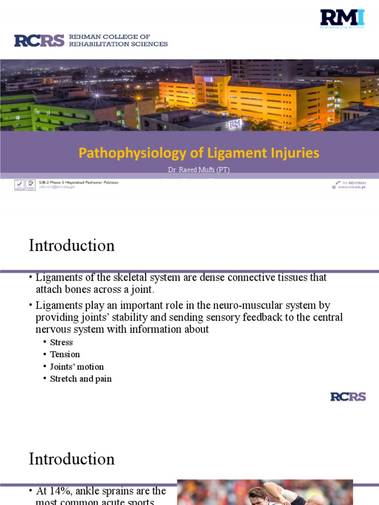 Pathophysiology of Ligament Injuries-1 | PDF | Deformation (Engineering ...