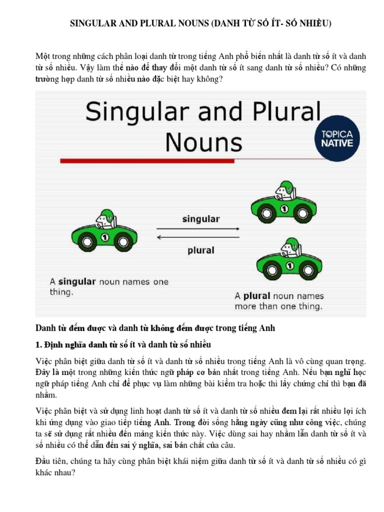 Singular and Plural Nouns | PDF