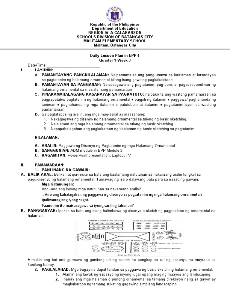 DLP in Epp q1 Week 3 Day 2 | PDF