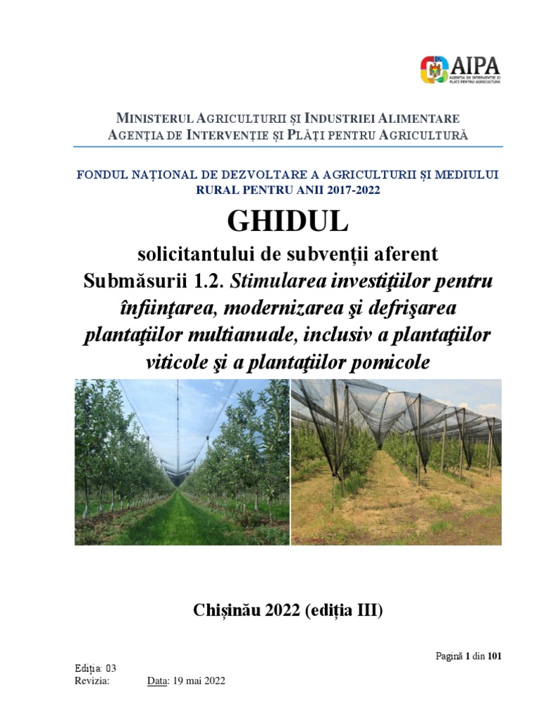 Ghid Submasura 1.2 | PDF