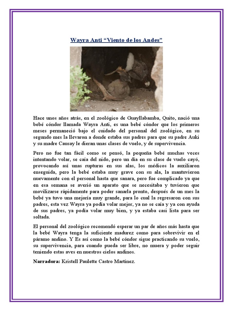 Bebé Cóndor | PDF