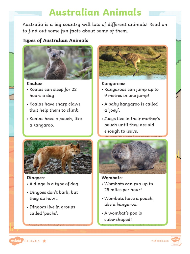 Australian Animals Reading Comprehension.205600330 | Download Free PDF ...