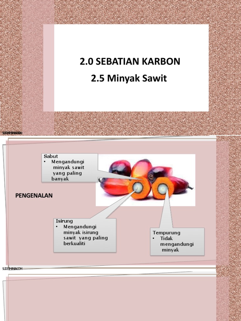 PB Sebatian Karbon - Slide (Latest) II | PDF