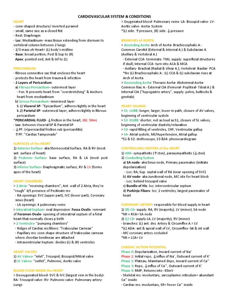 Cardiovascular System Conditions | PDF | Diastole | Heart