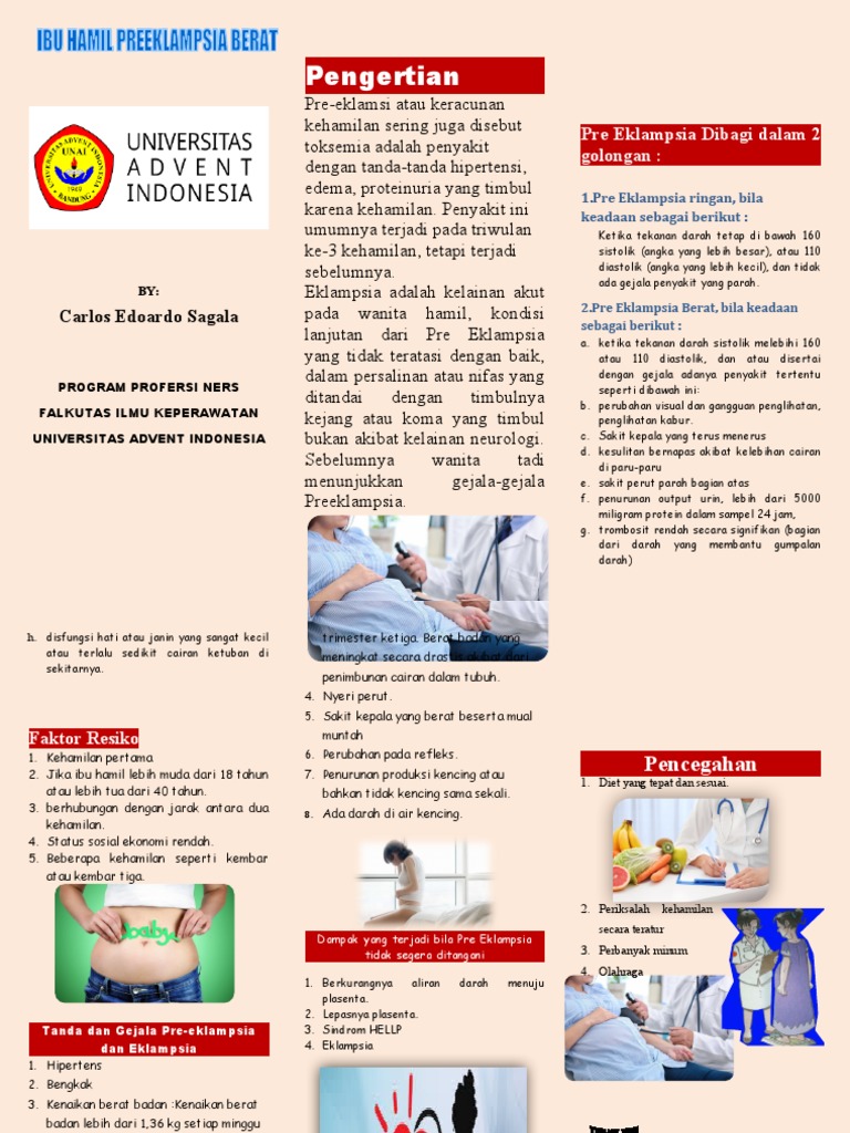 Leaflet Ibu Hamil Preeklampsia Berat - Carlos | PDF