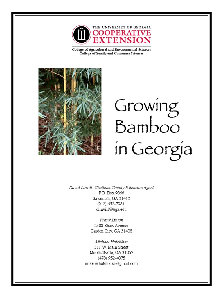 Growing Bamboo | PDF | Bamboo | Root