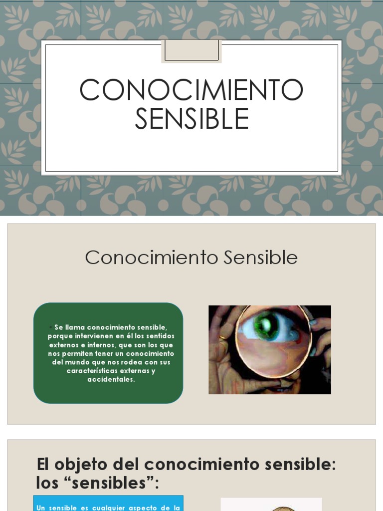Conocimiento Sensible y Percepción | PDF | Conocimiento | Percepción