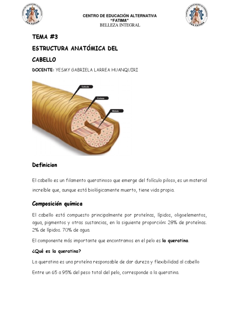 Estructura Del Cabello | PDF | Pelo | Cabello humano