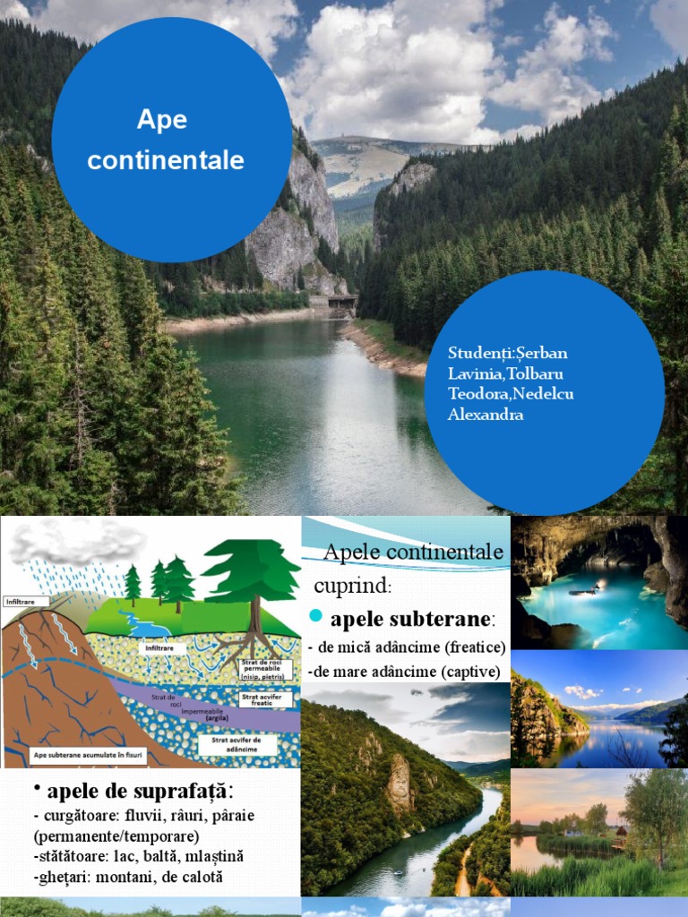 Ape Continentale 2 | PDF