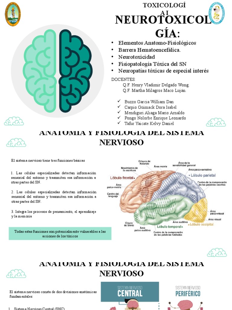 Neurotoxicología | PDF | Sinapsis | Sistema nervioso