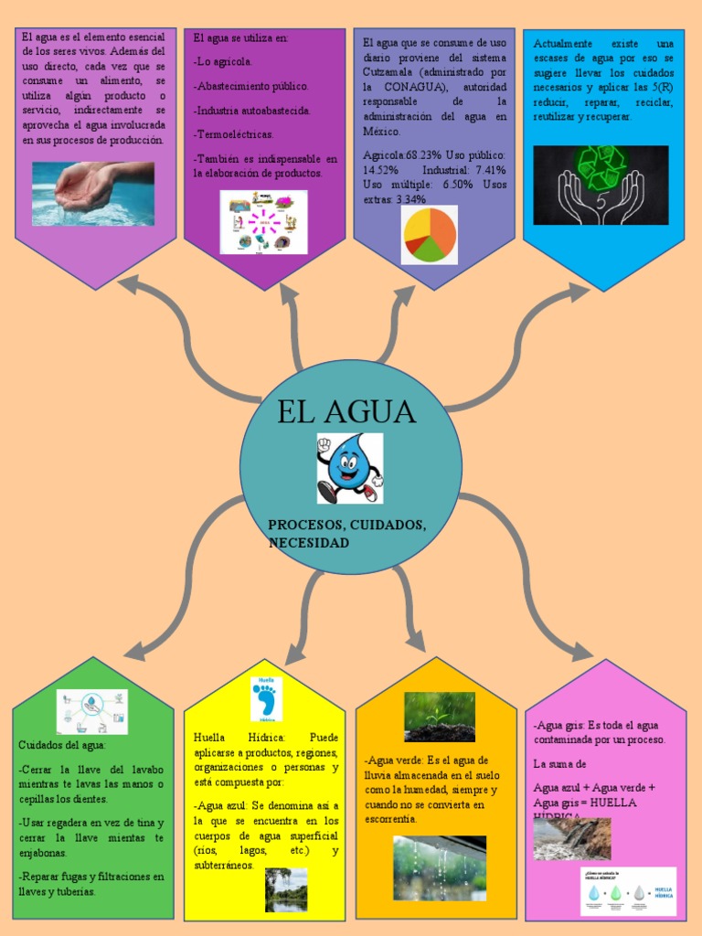 Infografia El Agua | PDF | Agua | Ambiente