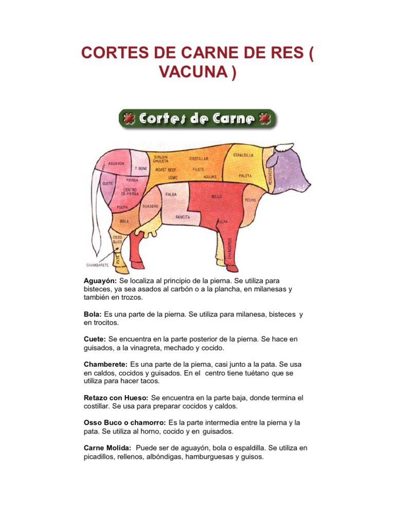 Cortes de Res para Caldo en Colombia | PDF | filete | Caldo