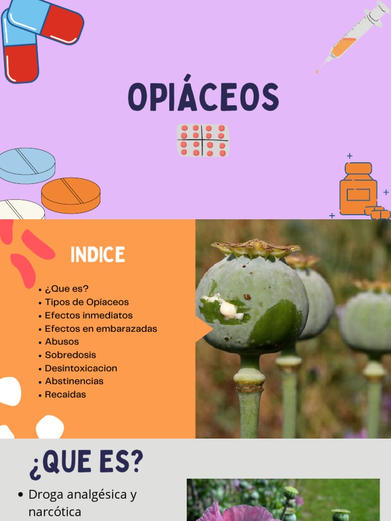 OPIÁCEOS | PDF | Despachador de drogas | Opio