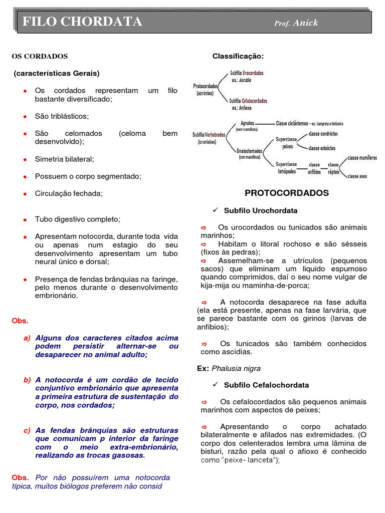 Filo Chordata-2º em | PDF | Vertebrados | Sapo