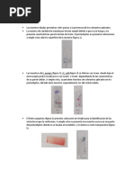 Floroglucina Info | PDF | Lignina | Polímeros