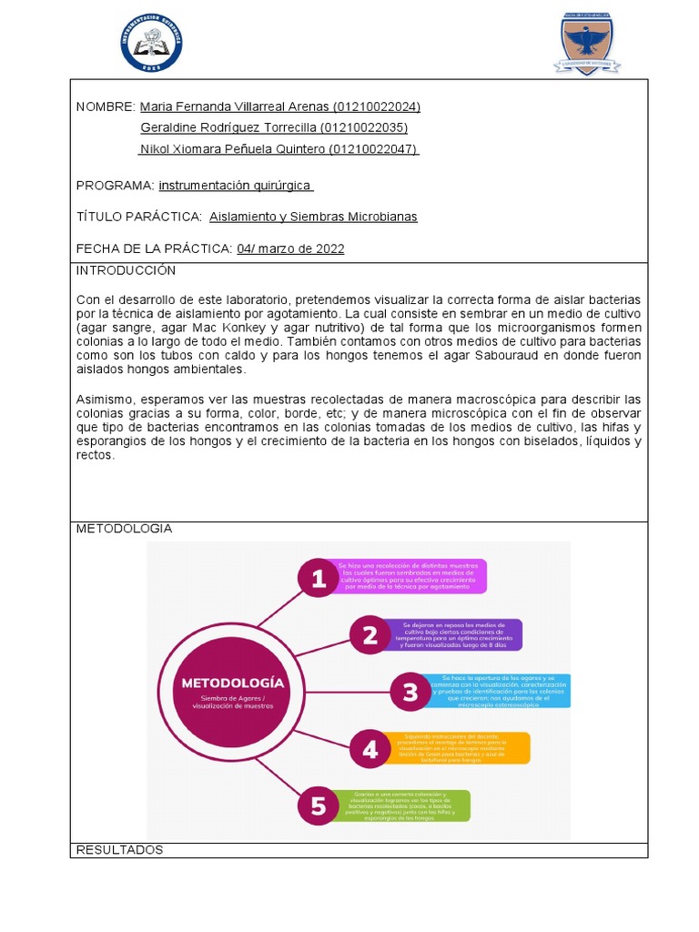 Formato Informe de Lab | PDF | Las bacterias | Microbiología