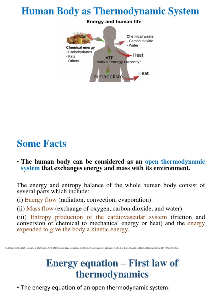 4.human Body As Thermodynamic Sys (12-02-22) | PDF | Heat | Entropy