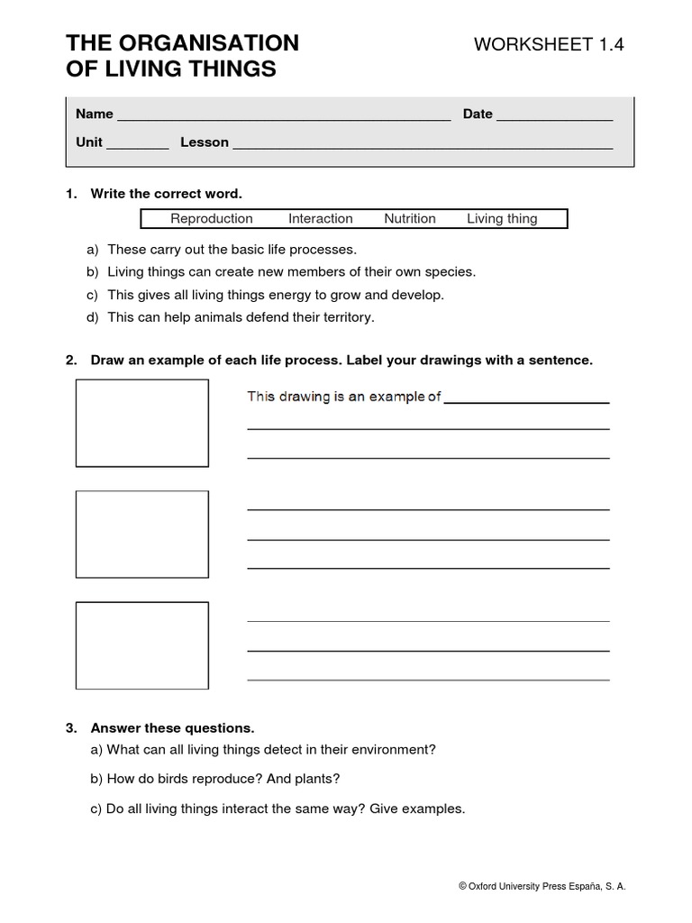 NS5 and Org Liv Things Worksheet 1 4 | PDF | Life | Reproduction