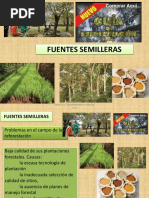 Método de Tres Bolillo | PDF