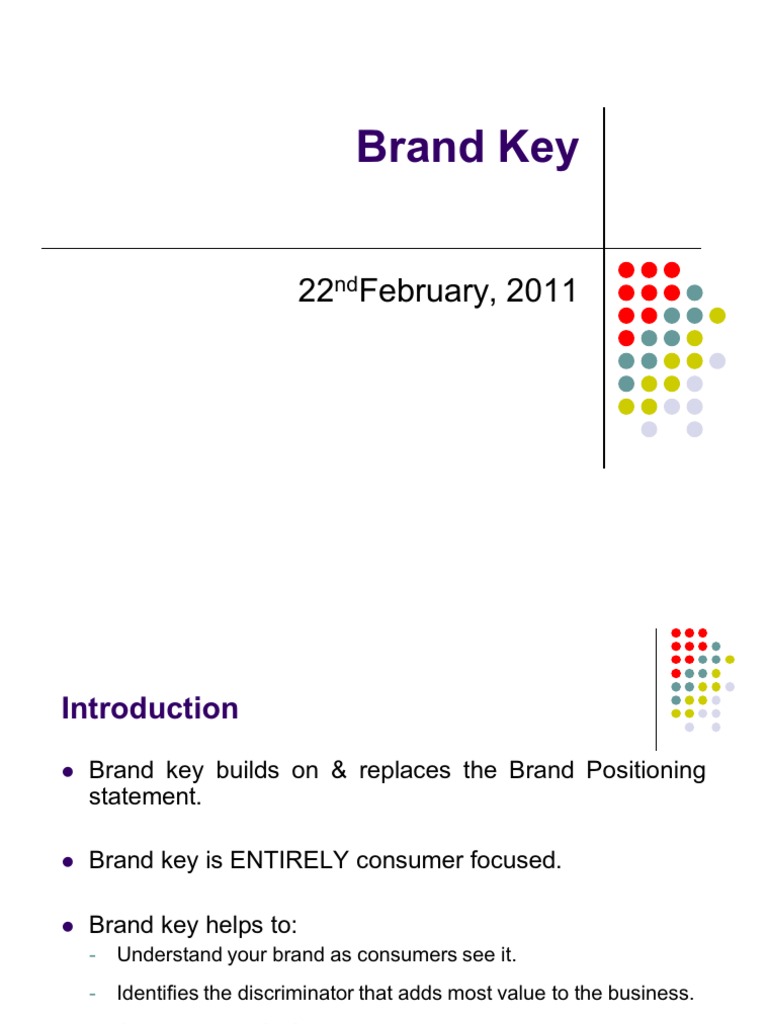 BrandKey Sample Revised | PDF | Insight | Brand