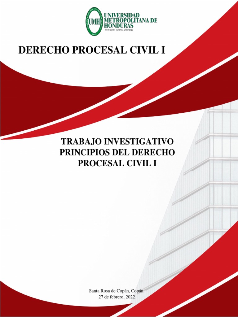 Principios Del Derecho Procesal - Analisis | PDF | Debido al proceso | Ley procesal