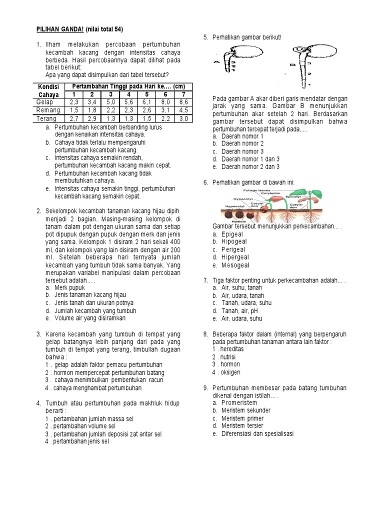 Latihan Soal Biologi Kelas XII IPA | PDF | Sains & Matematika