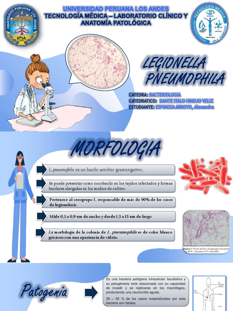 Legionella Pneumophila | PDF | Especialidades Medicas | Medicina