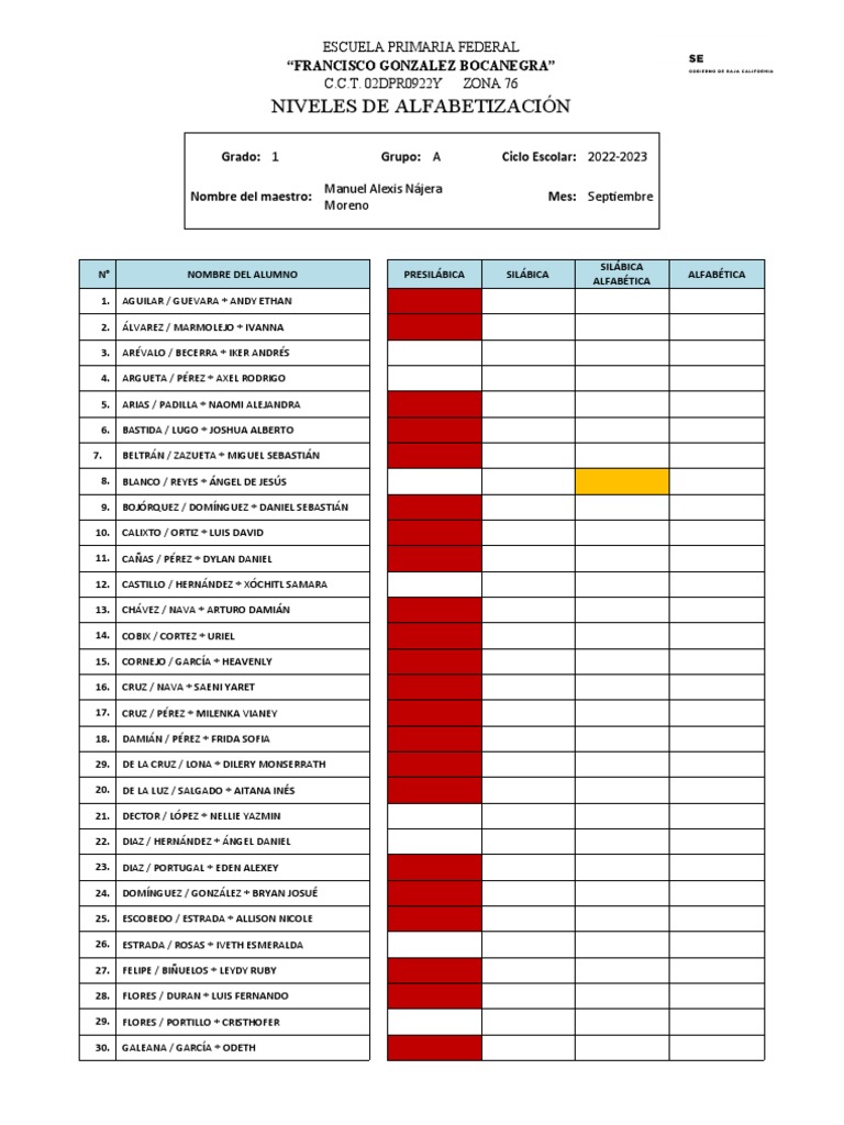Niveles de Alfabetización | PDF