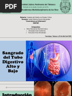 Adsef Pan 164 | PDF | Medicina CLINICA | Enfermedades y trastornos