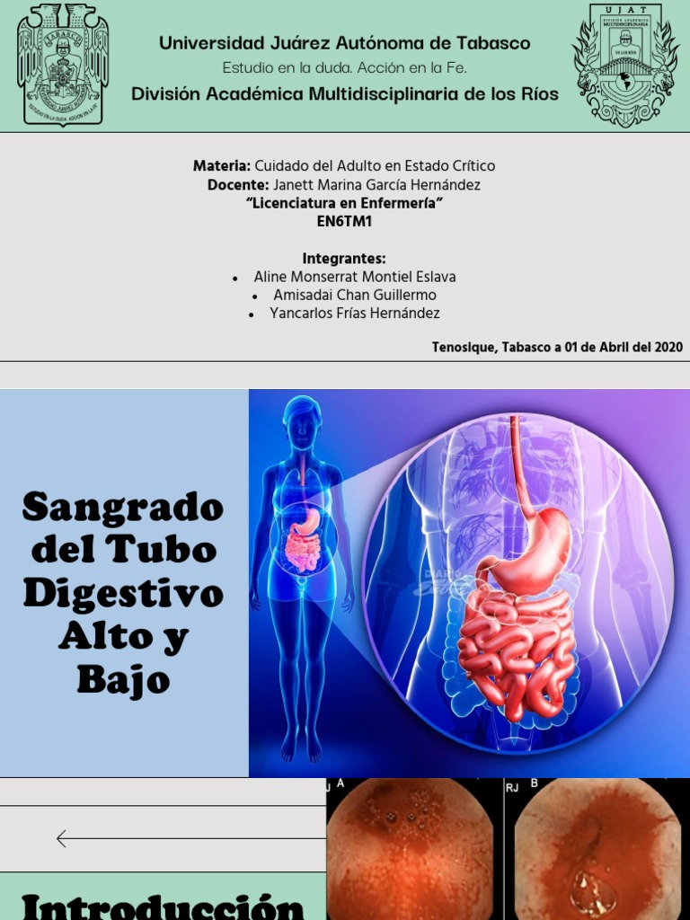 Clase Muestra - Sangrado Del Tubo Digestivo Alto y Bajo | PDF | Sistema ...