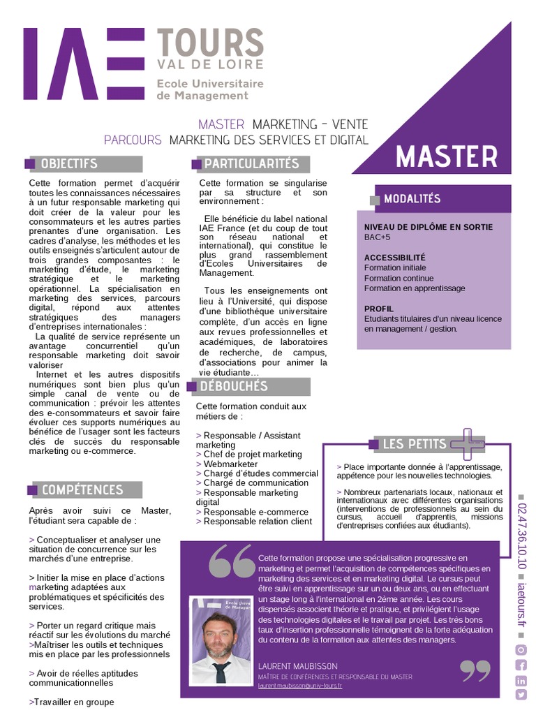 Master Marketing Digital et Services | PDF | Commercialisation | Business