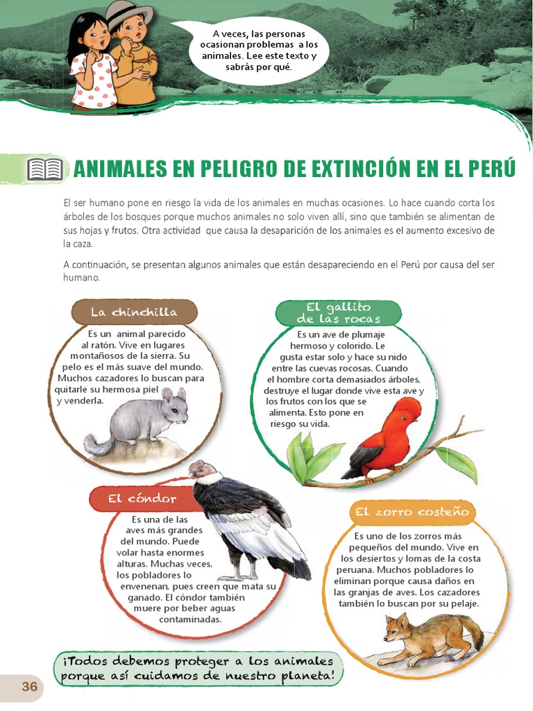 Animales en Peligro de Extinción | PDF | Aves | Ornitología