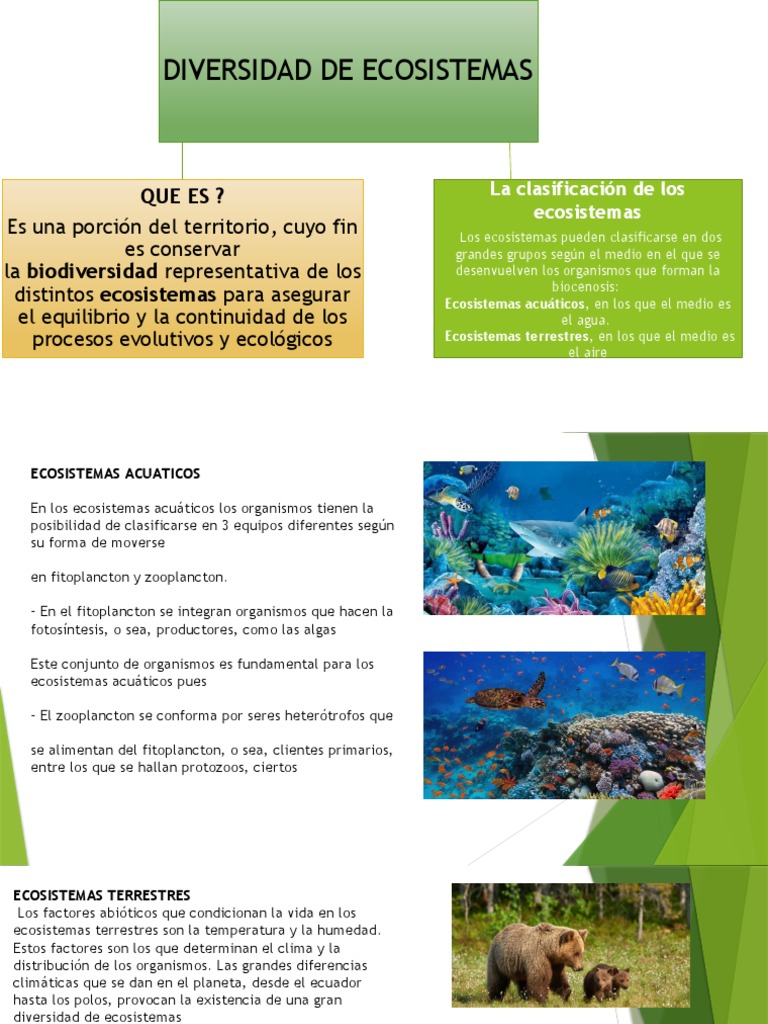 Diversidad de Ecosistemas Trabajo de Cta | PDF | Ecosistema | Suelo