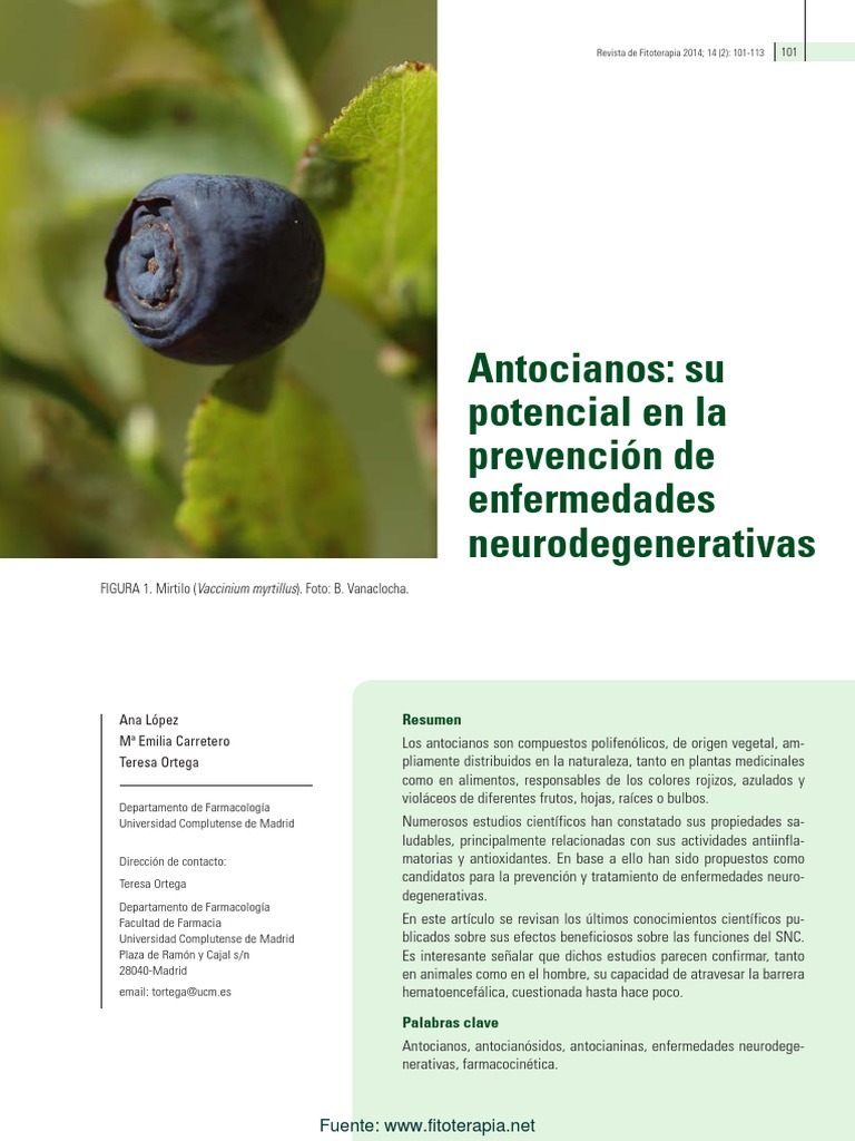 RDF 14 2 Antocianos | PDF | Inflamación | Química