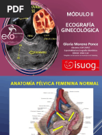 C 37 Cecostomia Colostomia | PDF | Intestino grueso | Abdomen