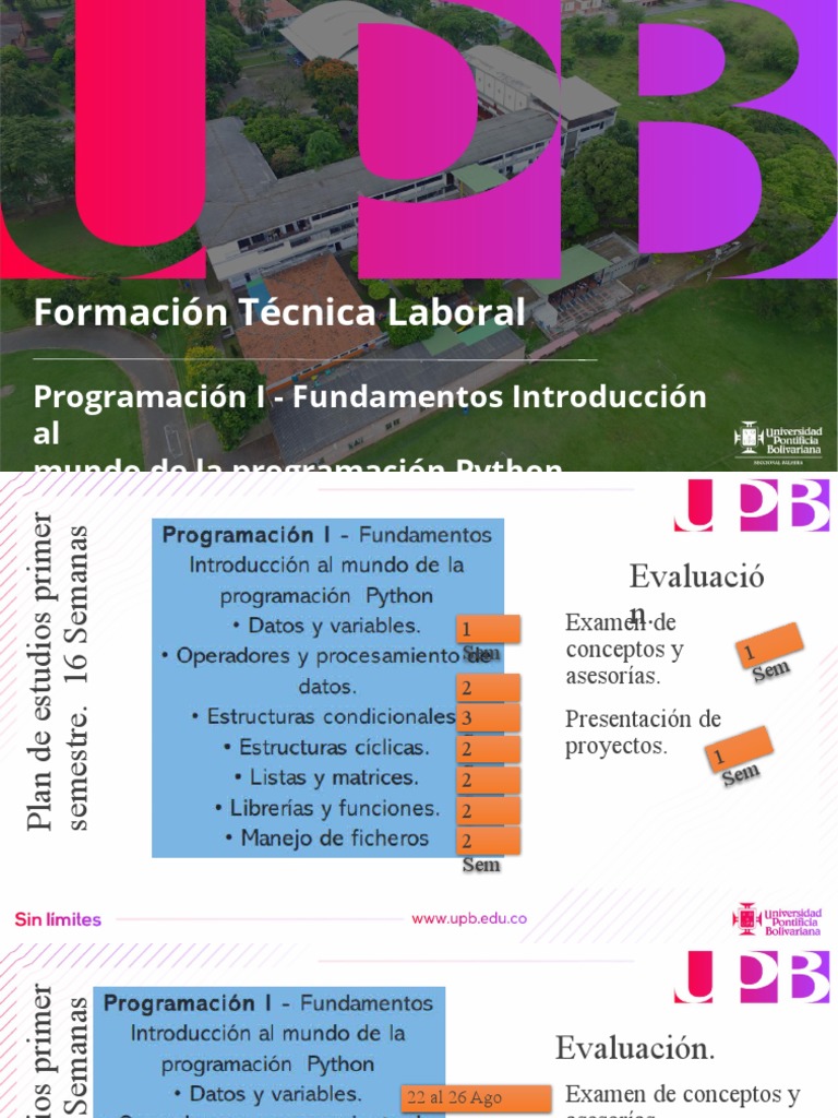 Datos y Variables | PDF | Tipo de datos | Programación de computadoras