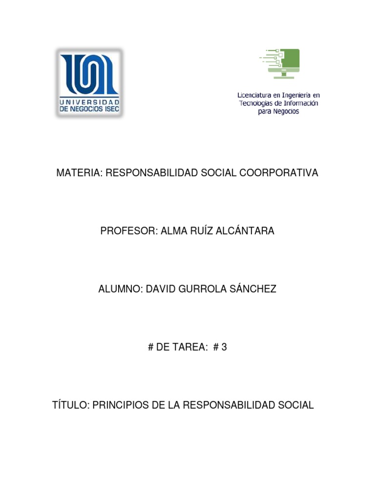 Principios de La Responsabilidad Social | PDF