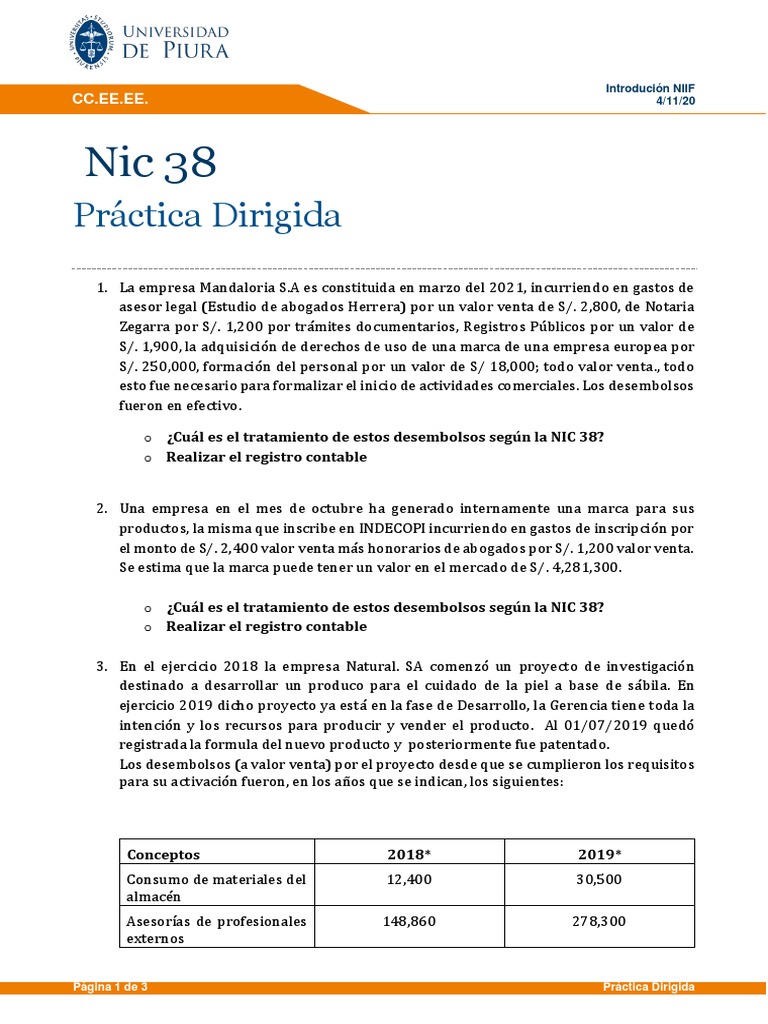 Dirigida NIC 38 | PDF | Contabilidad | Business