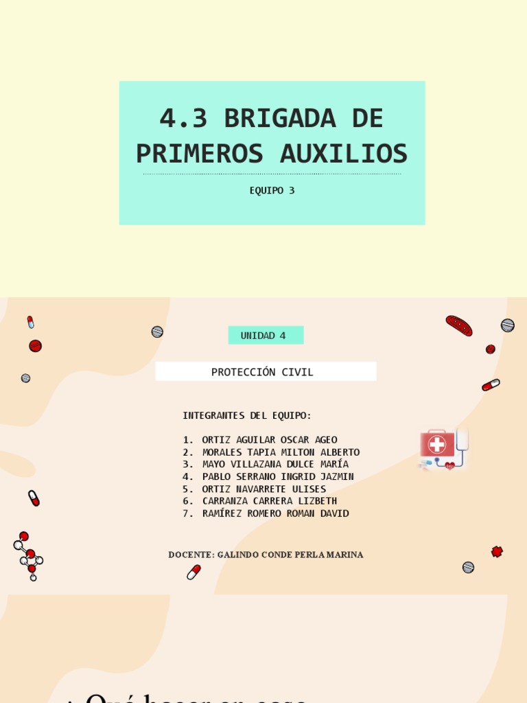 4.3 Brigada de Primeros Auxilios | PDF