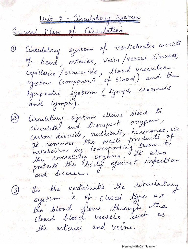 Unit-5 - Circulatory System - General Plan of Circulation | PDF