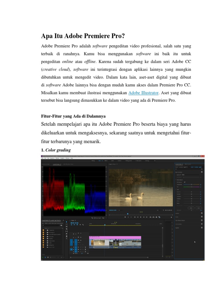 Modul Adobe Premiere Pro CC | PDF | Komputer | Teknologi & Rekayasa
