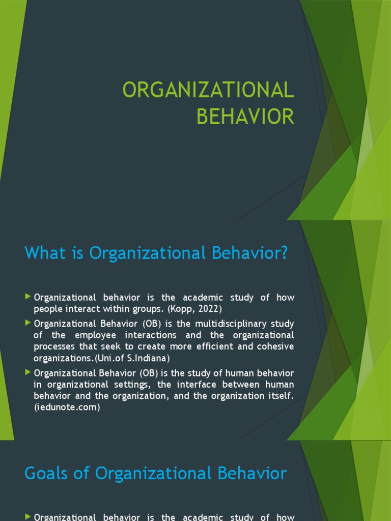 Organizational Behavior | PDF