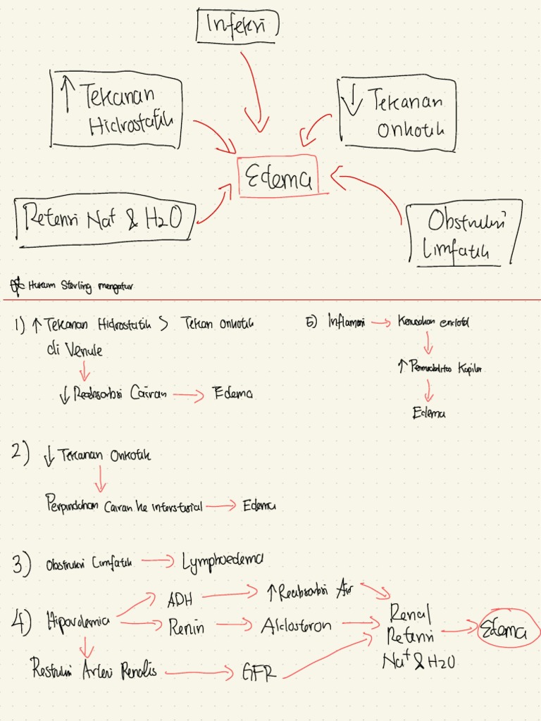 Understanding Edema and Lymphoedema | PDF