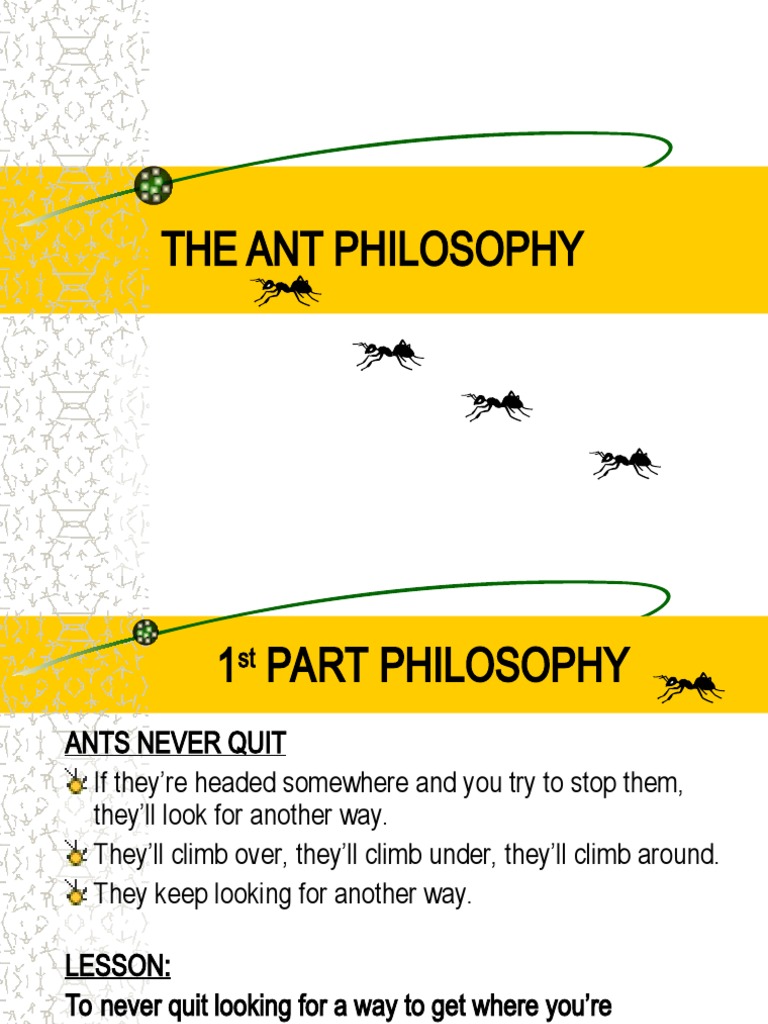 Ant Philosophy: Lessons from Ants | PDF