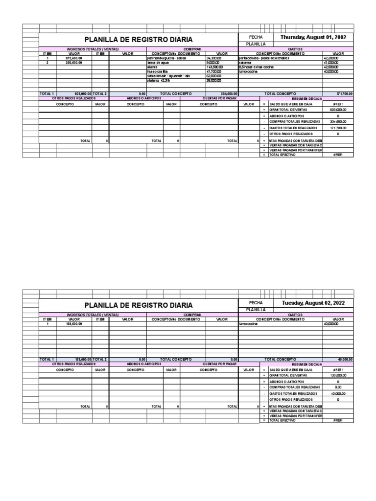 8 Planilla Diaria AGOSTO | PDF | Comida y bebida | Alimentos