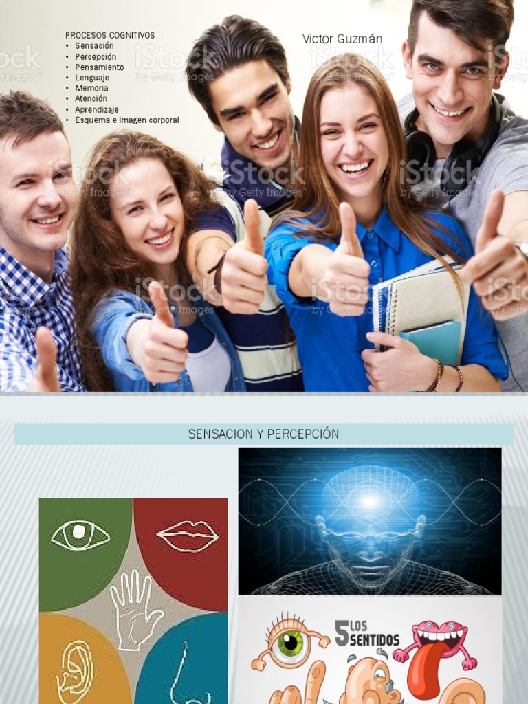 Procesos Cognitivos | PDF | Las emociones | Percepción