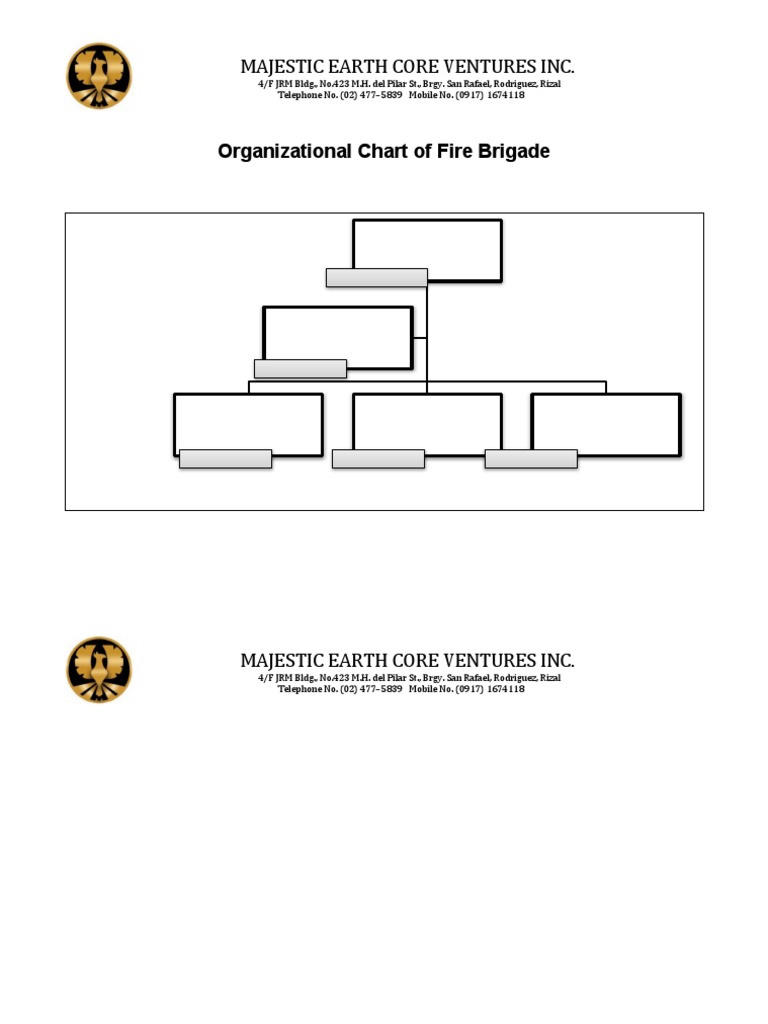 Organizational Chart of Fire Brigade | PDF